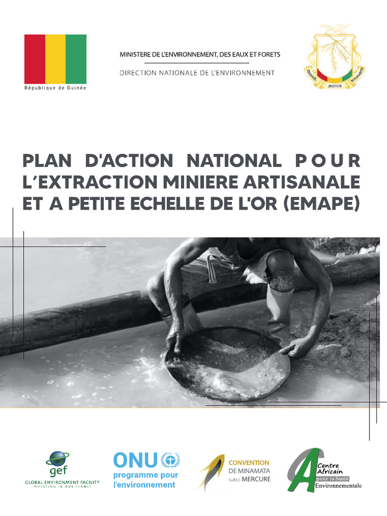 Guinea Asgm Nap 2021 FR | PDF