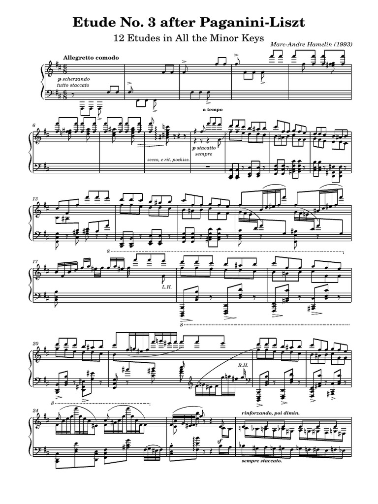 Tude No. 3 in B Minor Daprs Paganini-Liszt Hamelin Marc-Andr | PDF | Elements Of Music | Musical ...