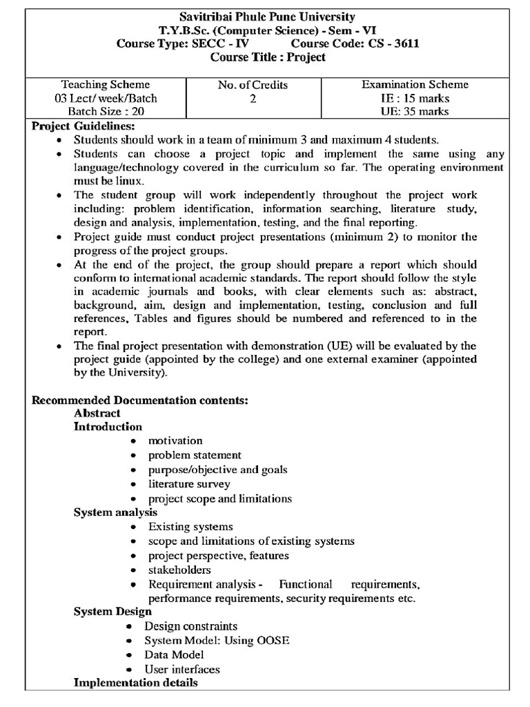 project guidelines | PDF