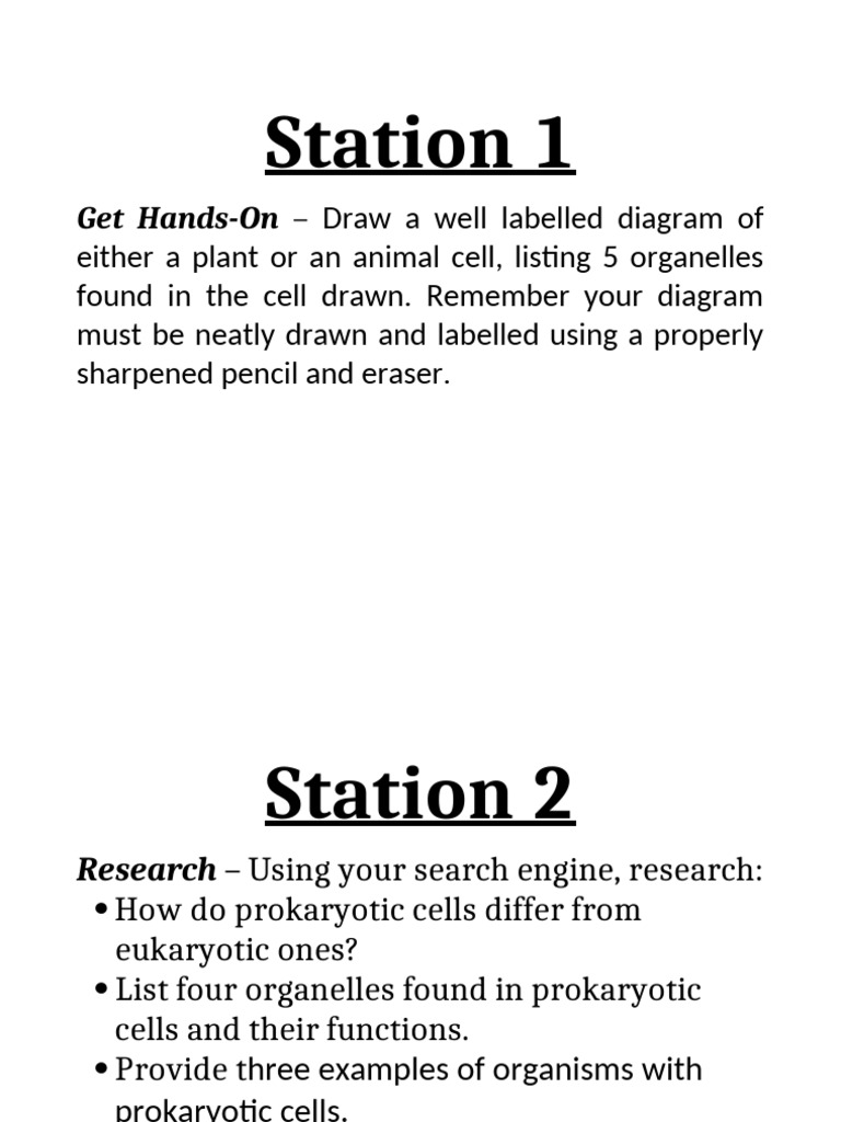 Lab Station Activity - Station Cards | PDF