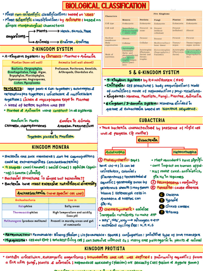 Biological Classification | PDF | Protozoa | Cell Wall