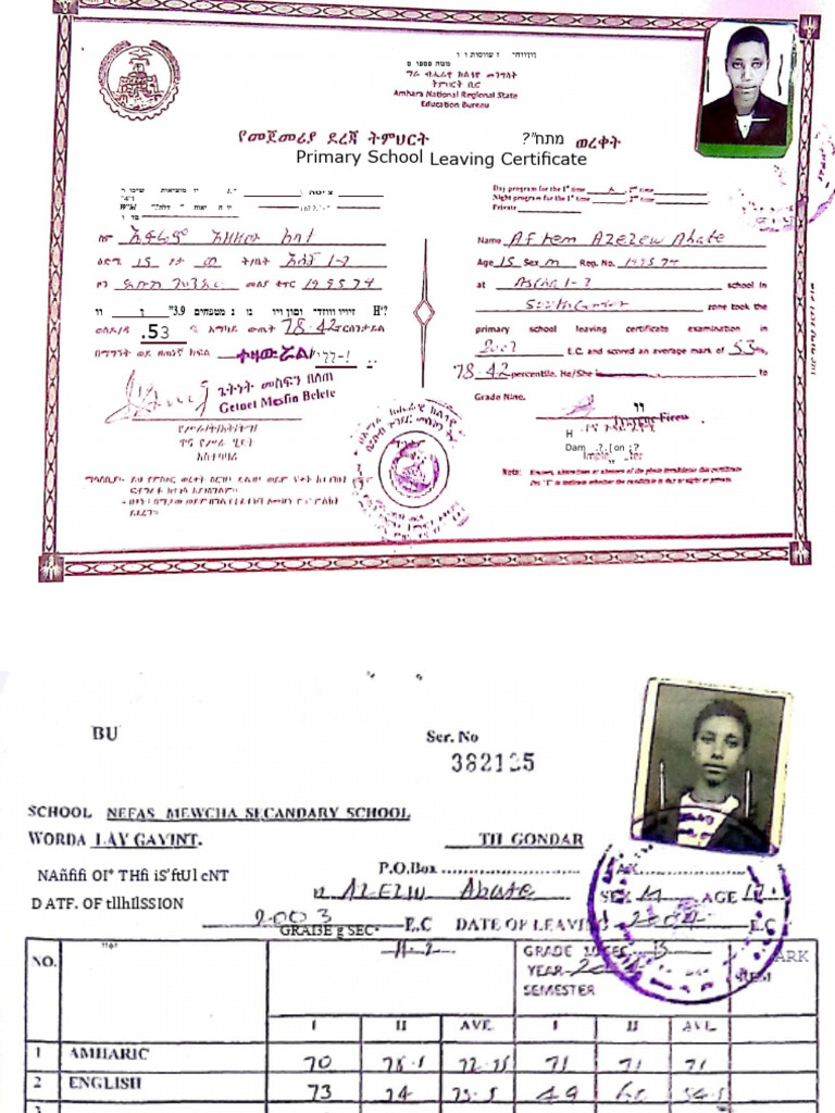 Primary School Leaving Certificate: '+וו cm MK? | PDF