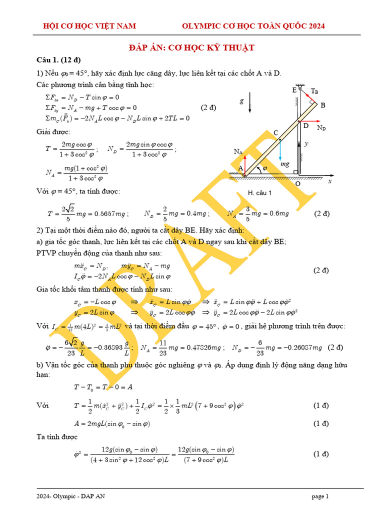 2024 - Olympic - DAP An-Draft | PDF