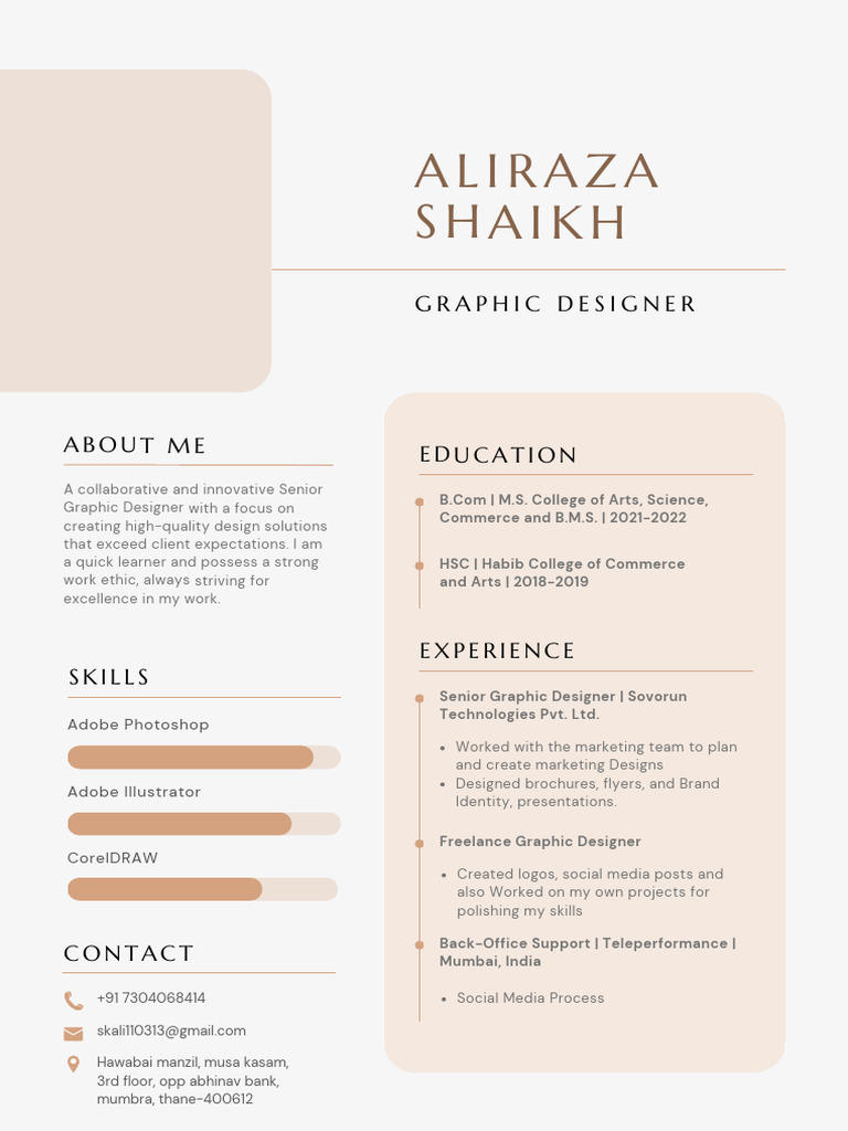 Shaikh Ali Raza (CV) | PDF