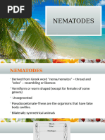 Nematode Species and Common Names List | PDF | Parasites | Plants