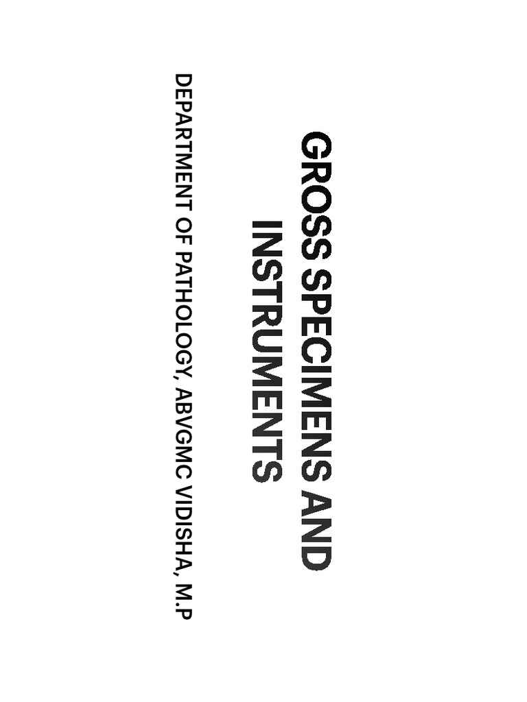 Ug Gross AND INSTRUMENTS PDF | PDF | Uterus | Red Blood Cell