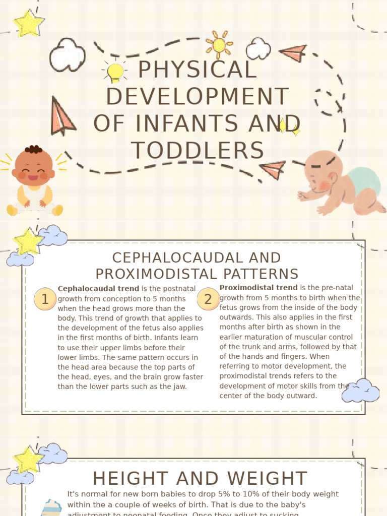 Infant and Toddler Physical Development | PDF | Infants | Nervous System