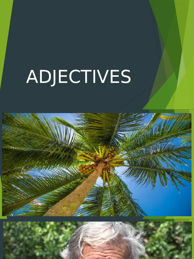 Adjectives | PDF