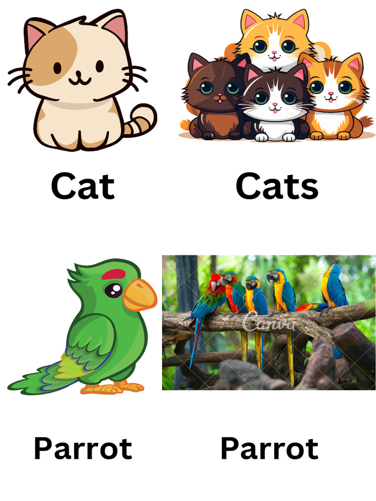 Cat | PDF
