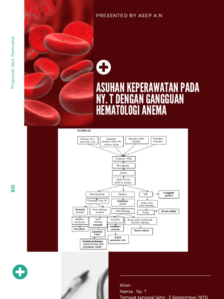 Asep - Askep Dan Pathway Anemia | PDF
