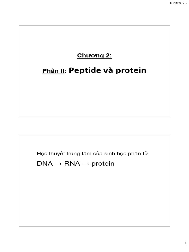 Chuong 2 Phan II Peptide - Protein 2023 Handout | PDF