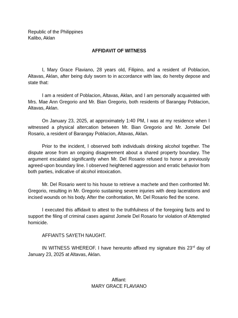 Witness 1 (hacking incident witness affidavit) | PDF