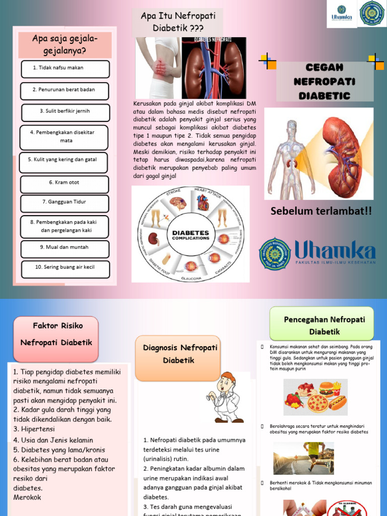 Leatflet Nefropati-Diabetik-pdf | PDF
