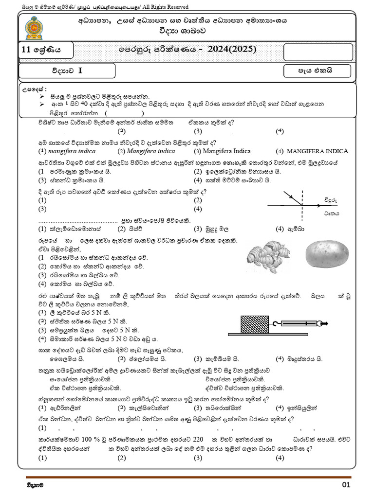 MOE 2024 2025science Paper | PDF