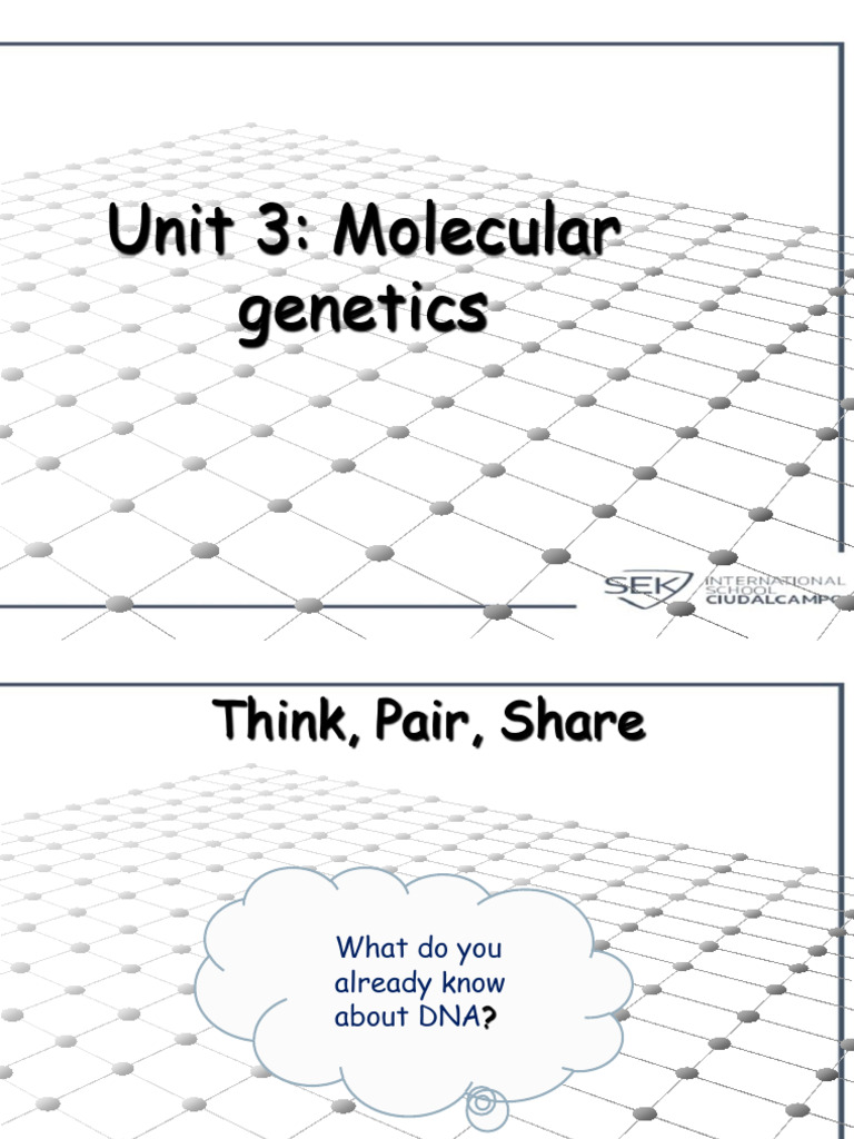 Understanding DNA Structure and Replication | PDF | Nucleotides | Dna