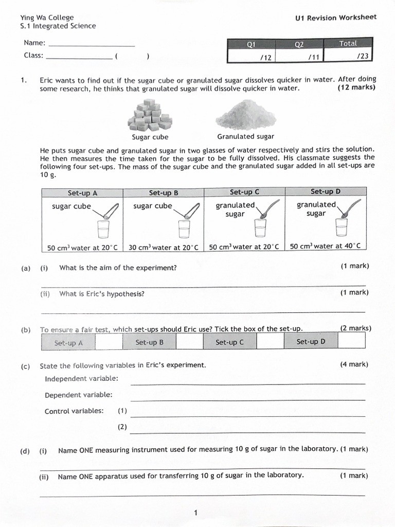 S1 graded worksheet | PDF