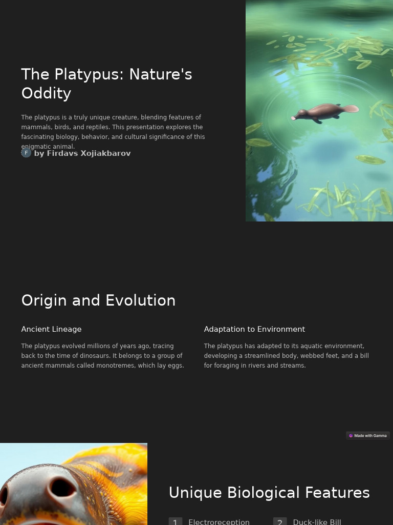 The Platypus Natures Oddity | PDF | Zoology