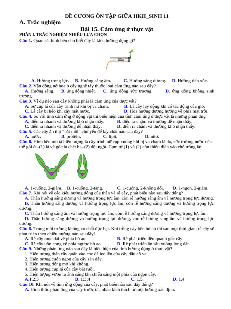 ĐỀ CƯƠNG GIỮA HKII - Sinh 11 - | PDF