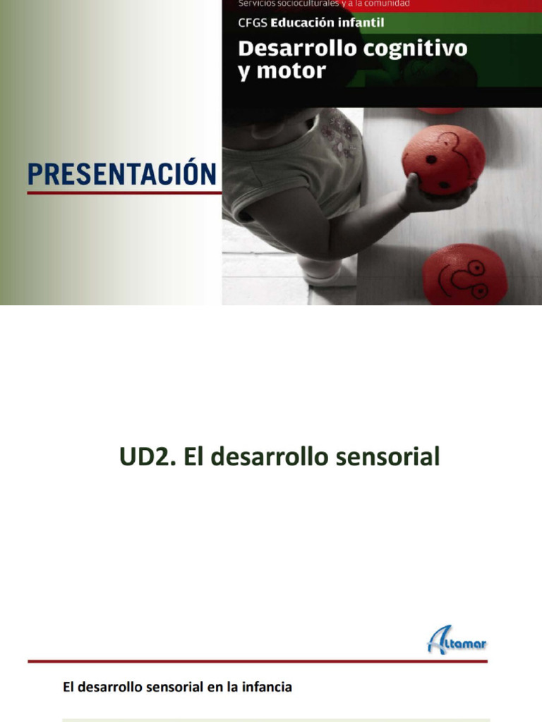 Presentaci Ã N 2 | PDF | Escuchando | Sentidos