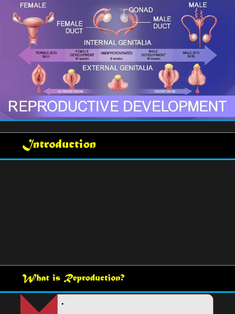 Week 2-Reproduction & Development | PDF | Reproduction | Fertilisation