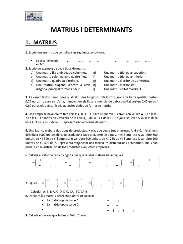 3.- Exercicis matrius i determinants | PDF