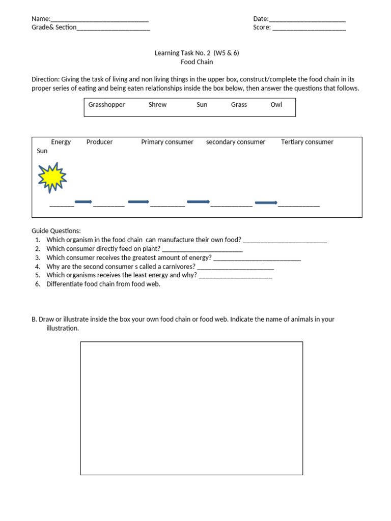 Learning Task No. 2 (W5 - Q4) | PDF