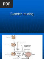 Bladder Training | PDF | Urinary Incontinence | Health Sciences
