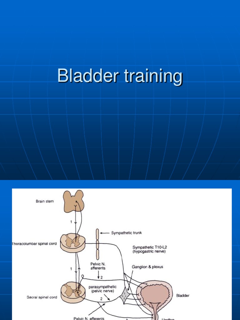 Bladder Training 2011 | PDF | Urinary Incontinence | Urination