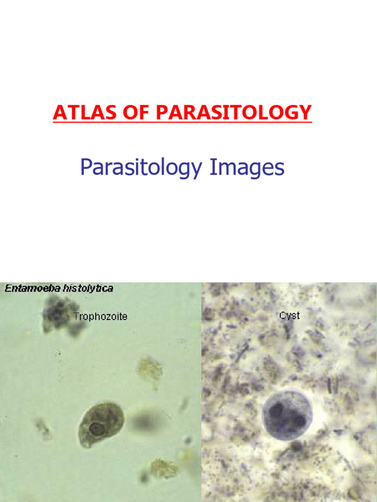 Parasitology Images | PDF