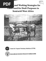 Ra 6953 Cca Special Non Working Holiday Osmena Day Cebu Province | PDF
