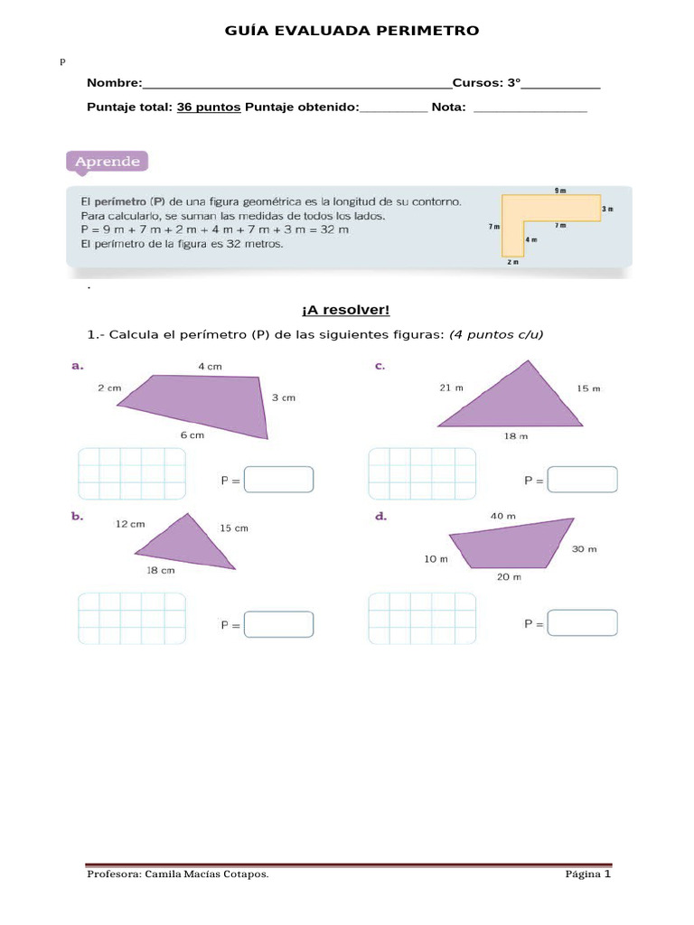 3°BÁSICO-GUÍA Evaluada | PDF