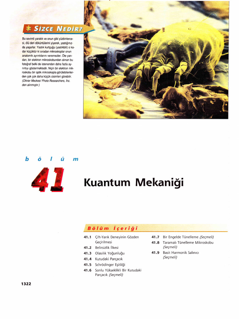 Modern Fizik - Bölüm 41. Kuantum Mekani I | PDF