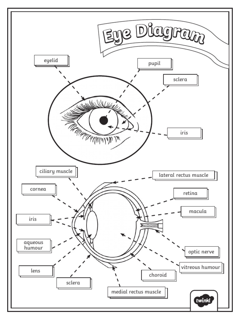 BW Eye Diagram Poster | PDF