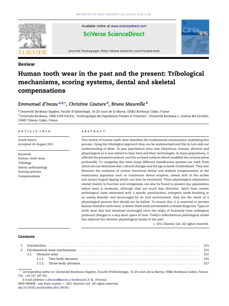2012 - d'IncauETAL - Human Tooth Wer in The Past An The Present ...
