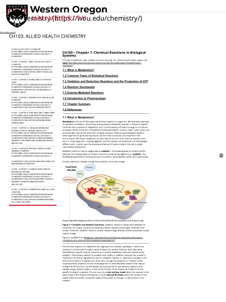 Chemical Reactions in Biological Systems - Chemistry | PDF | Redox ...