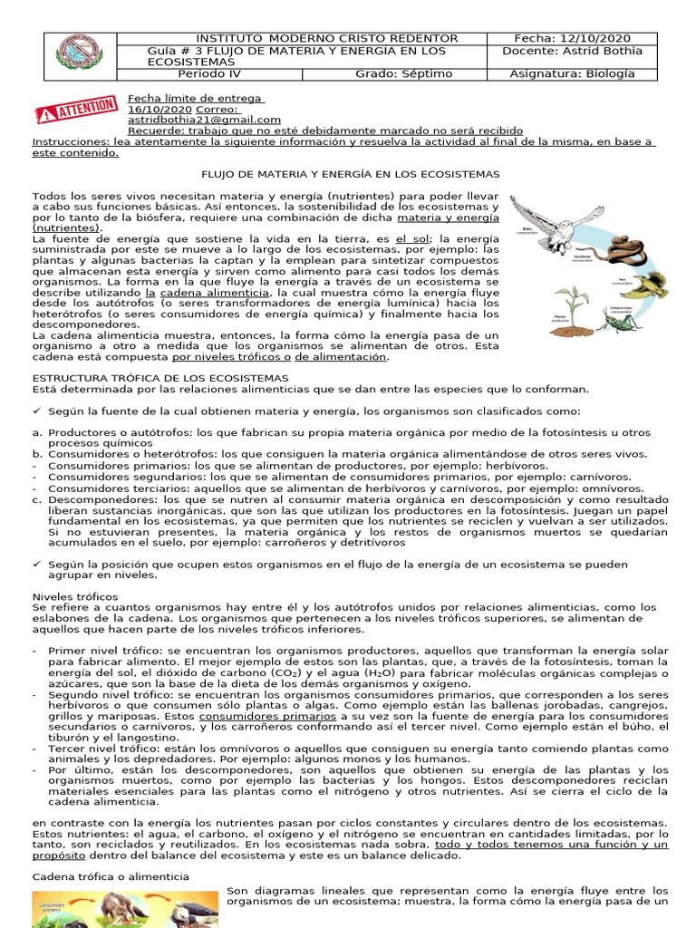 Flujo de Energia | PDF | Red alimentaria | Ecología de sistemas