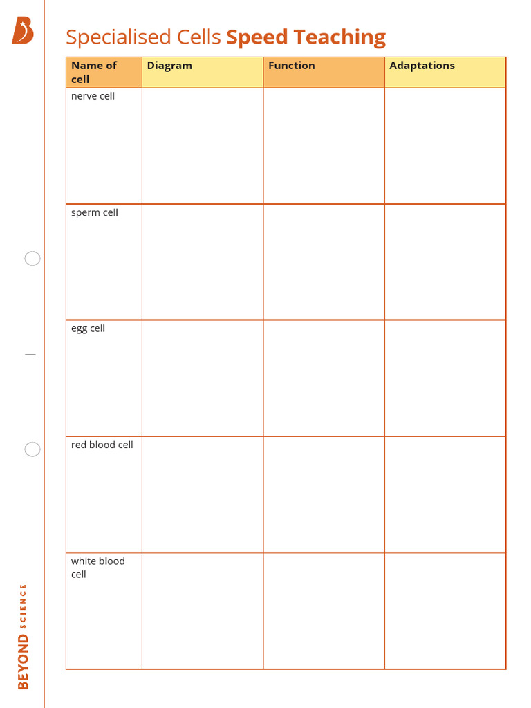 Specialised Cells Worksheet With Answers | PDF | Cell (Biology ...