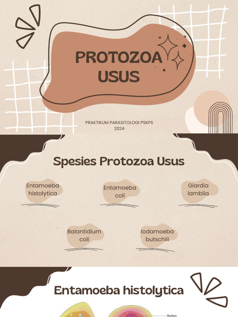 Morfologi dan Penyakit Protozoa Usus | PDF