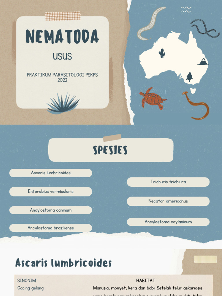 Morfologi dan Penyakit Nematoda | PDF