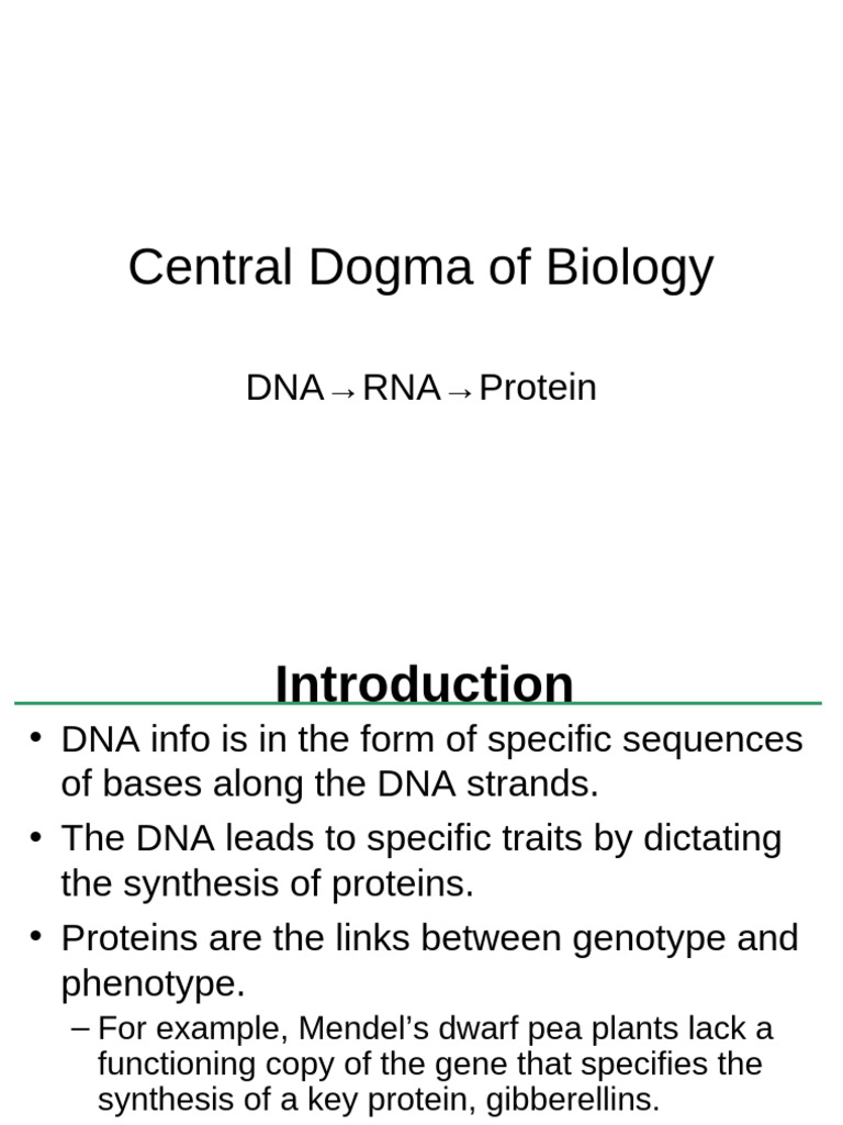 Central Dogma: DNA to Protein Process | PDF | Translation (Biology ...