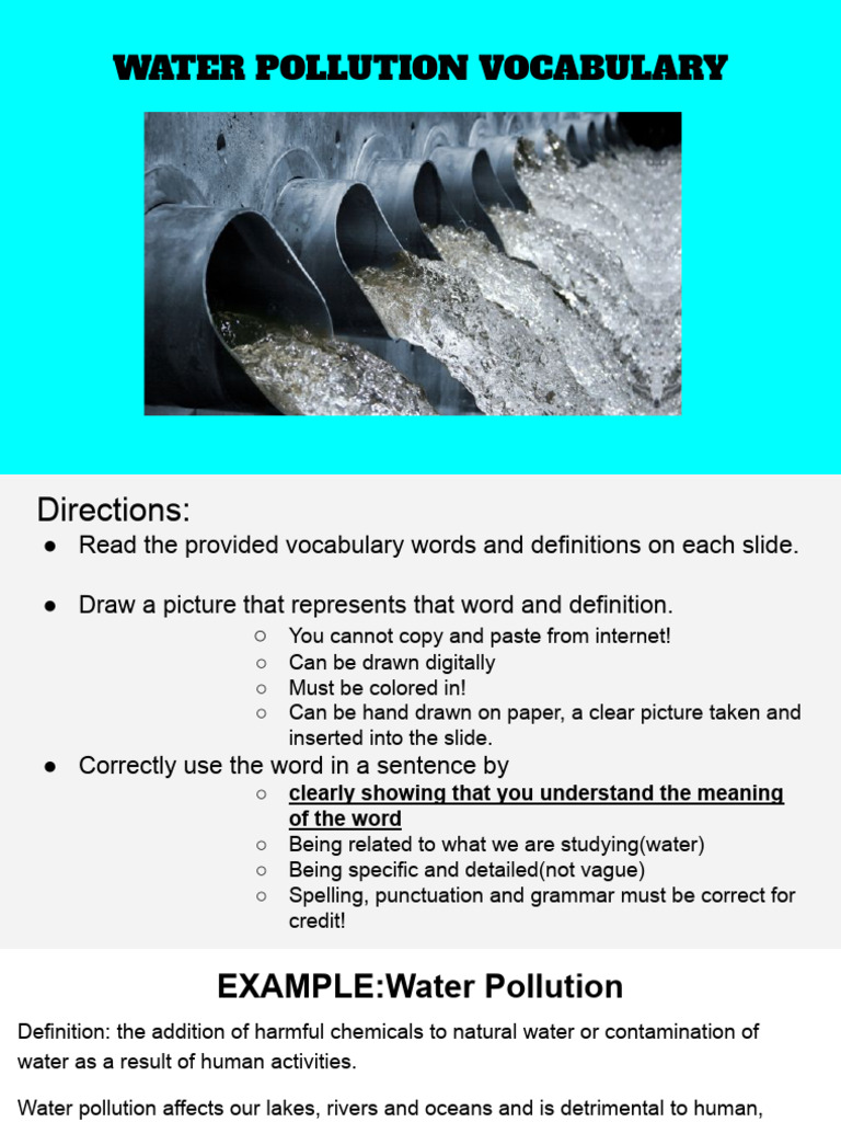 Water Pollution Vocabulary Guide | PDF | Water | Water Quality