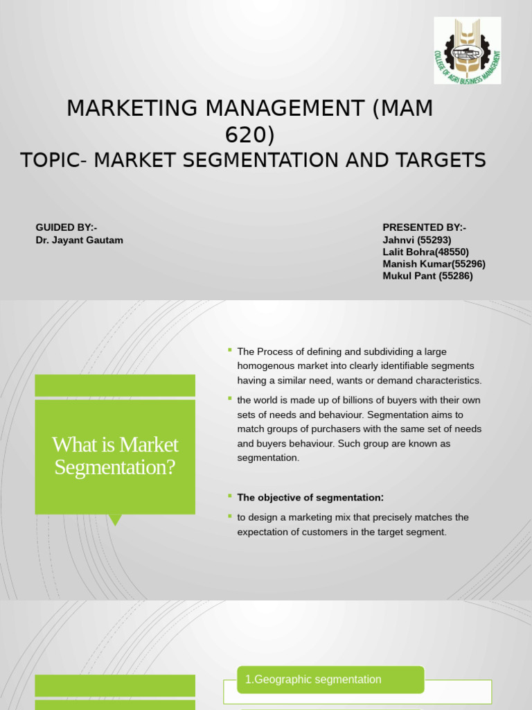 Market Segmentation | PDF | Market Segmentation | Marketing