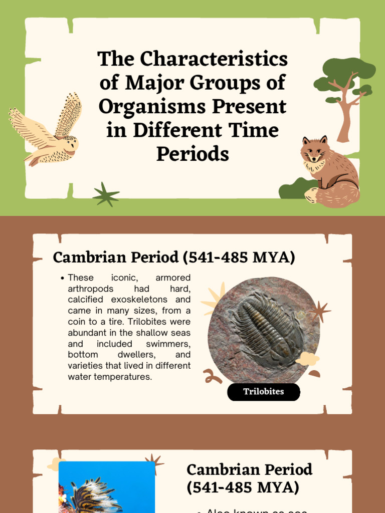The Characteristics of Major Groups of Organisms Present in Different ...
