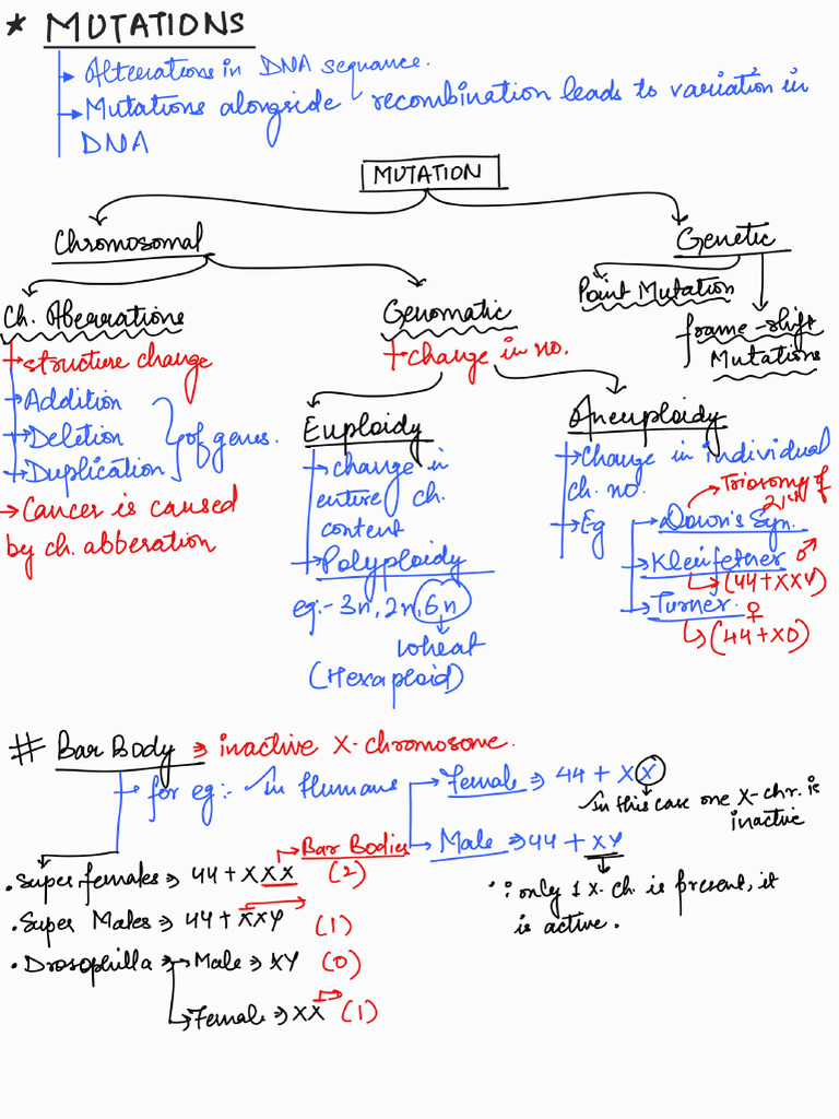 Mutations, NCERT 1 | PDF