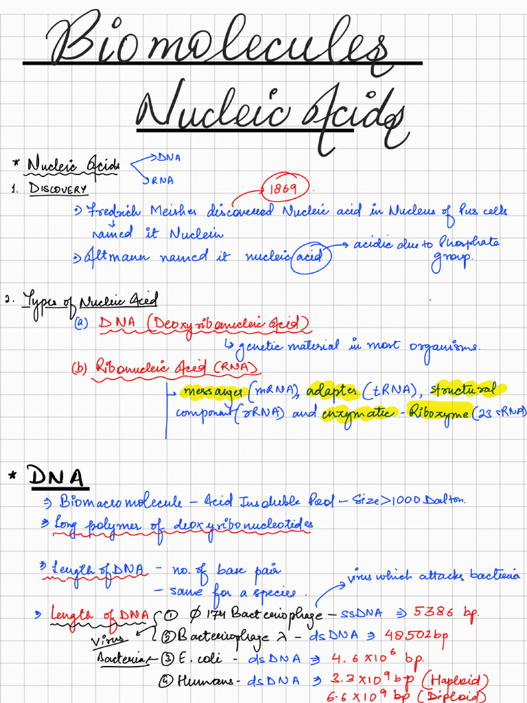 Nucleic Acids Notes | PDF