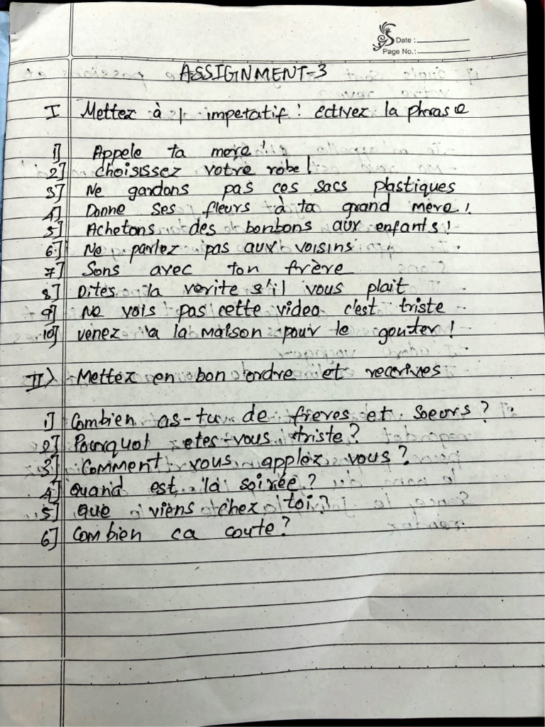 French 3 | PDF