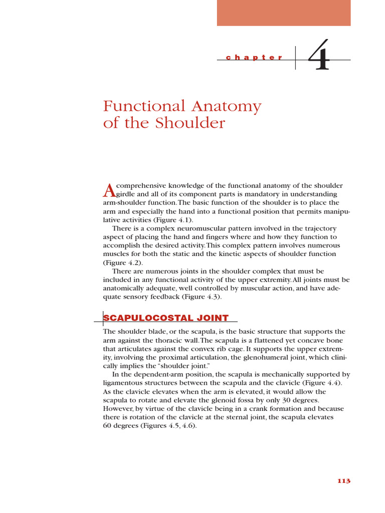 Shoulder Functional Anatomy Overview | PDF | Shoulder | Anatomical ...