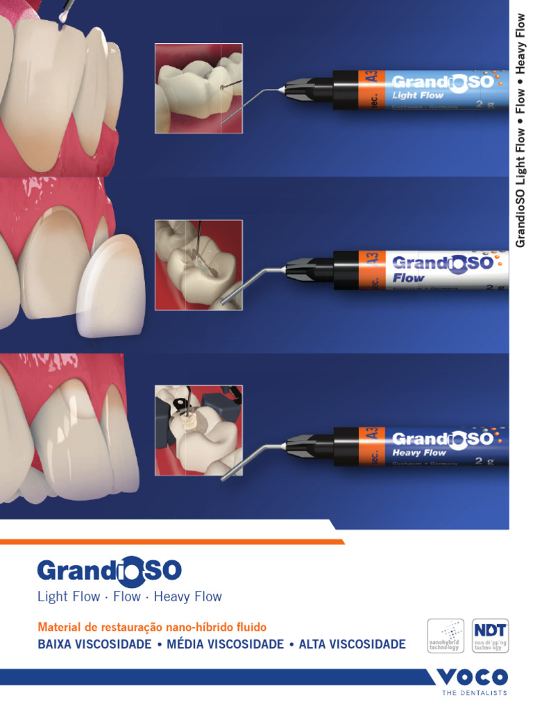 Grandioso-Flow-Family Fol BR | PDF | Material composto | Viscosidade