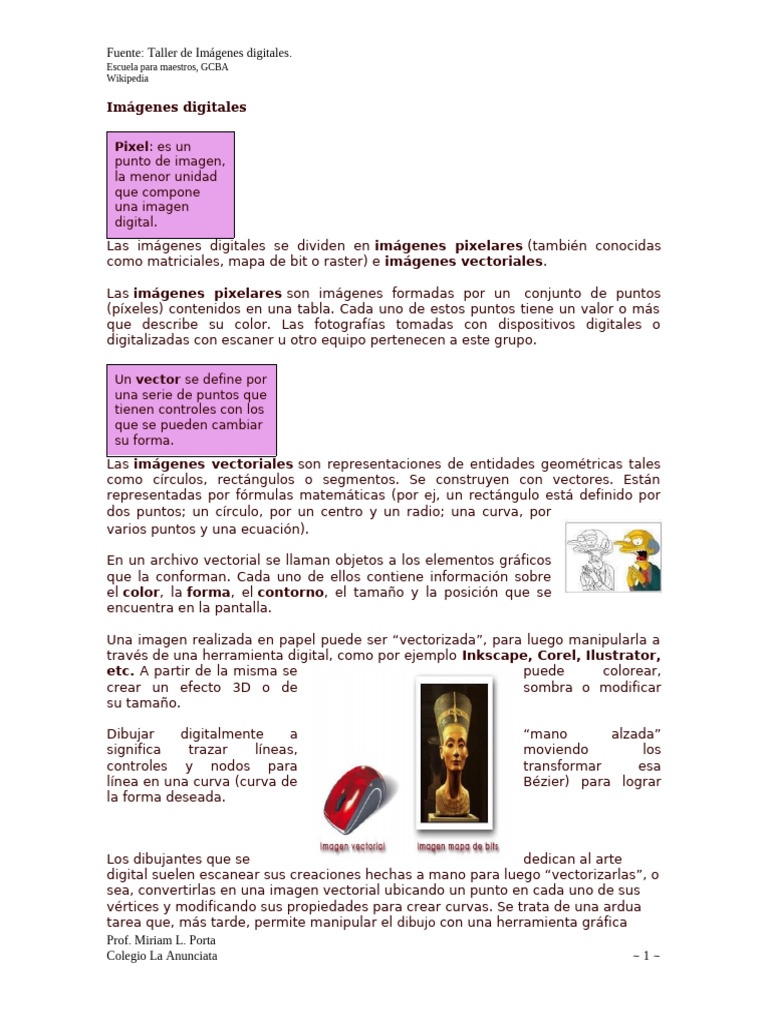 Imágenes Digitales - Pixelares y Vectoriales | PDF | Imagen | Diseño ...