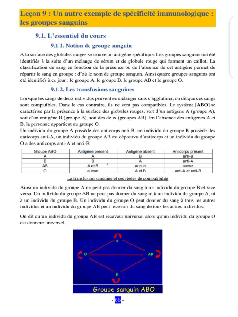 Groupe Sanguin | PDF